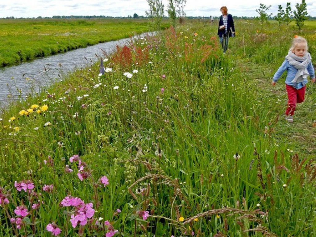 Themasheet Veenweidesloot van de toekomst – VIPNL